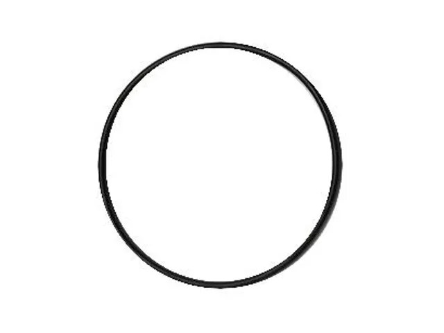 Dräger T10549 O-ring t.b.v. volgelaatsmasker FPS 7000