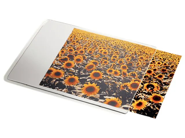 Esselte Panorama Muismat Wit