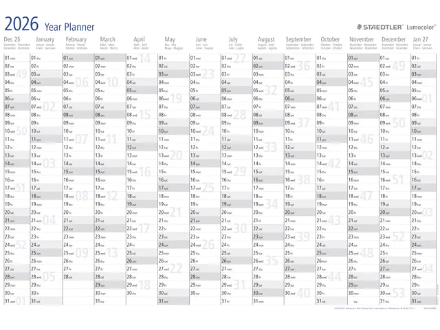 Planning annuel 2025 Staedtler Lumocolor 84x60cm enroulé