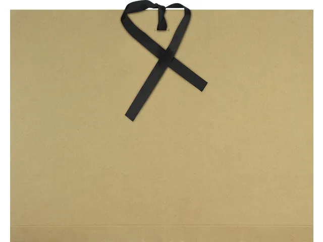 Tekenmap Kangaro A3 met lint