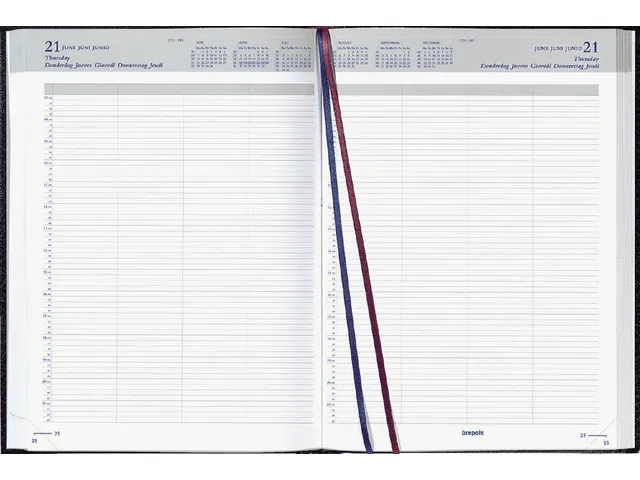 Agenda 2026 Brepols Bremax Santex A4 1dag/2pagina's 8 kolommen zwart