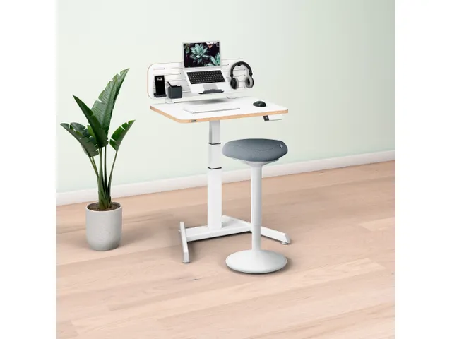 Leitz Ergo Elektrisch Workstation pakket 2