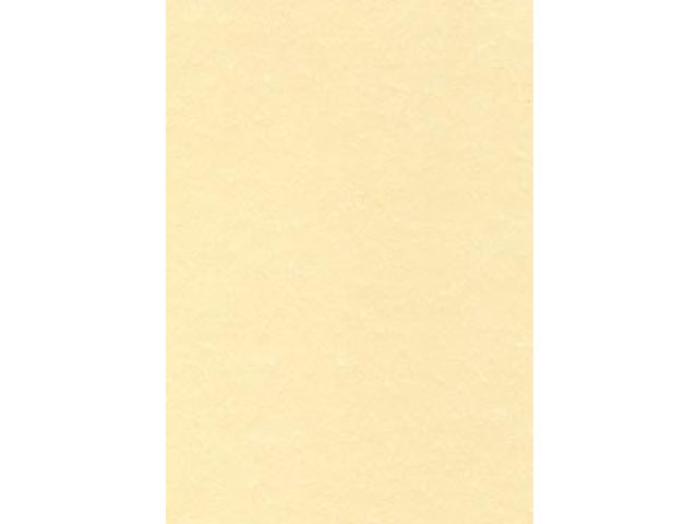 Decadry Structuurpapier Champagne A4 | A4PapierOnline.be