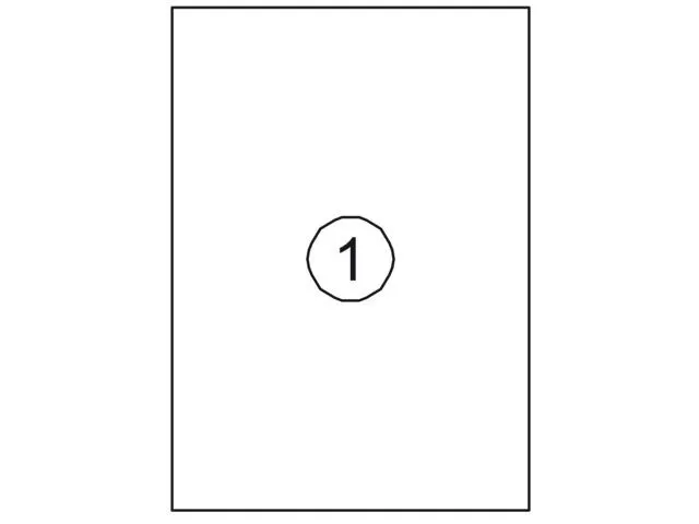 DiscountOffice Etiket 210x297mm A4 Wit 100 Stuks