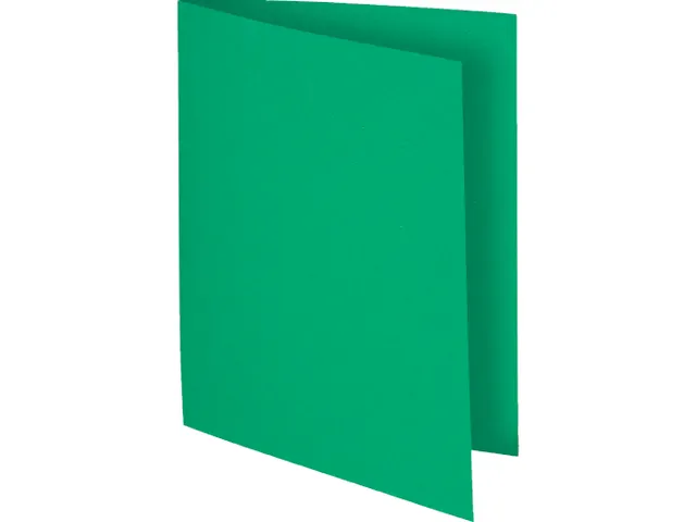 Exacompta 100 dossiermappen FLASH 220 100%gerecycleerd 24x32cm Groen
