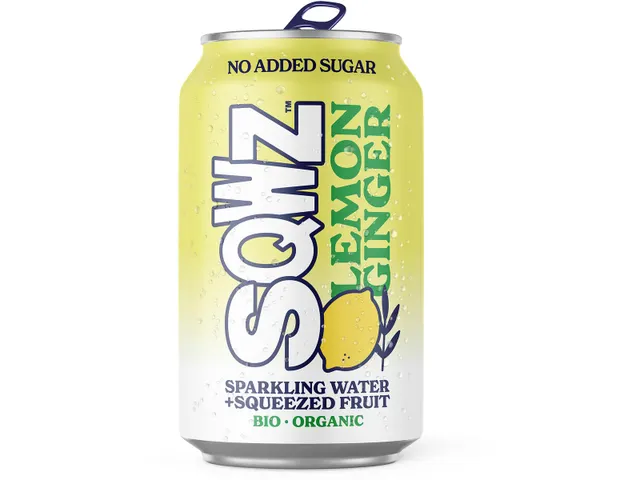 Sqwz Frisdrank Lemon Ginger BIO Blik 33 CL 12 Stuks