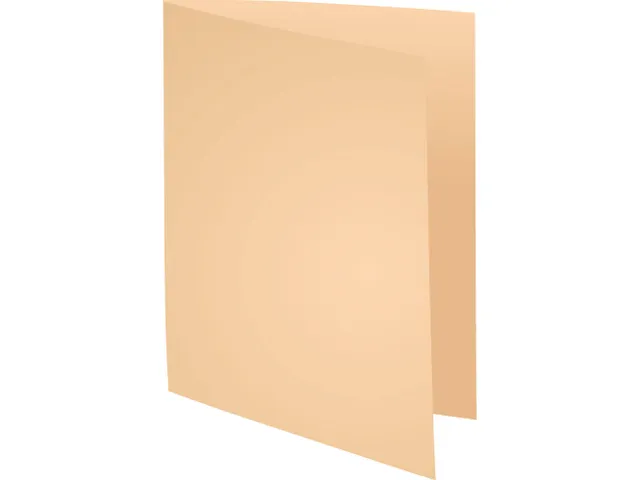 Exacompta 100 dossiermappen FOREVER 250 100%gerecycleerd 24x32cm Gems